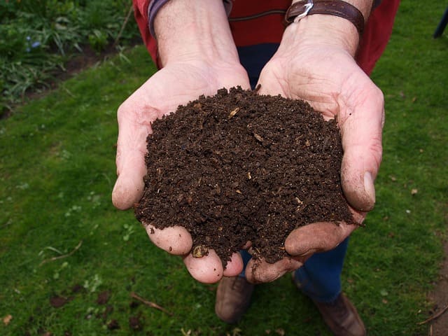 Best Compost for Your Garden: 9 Top Picks! - BackyardBooster.com