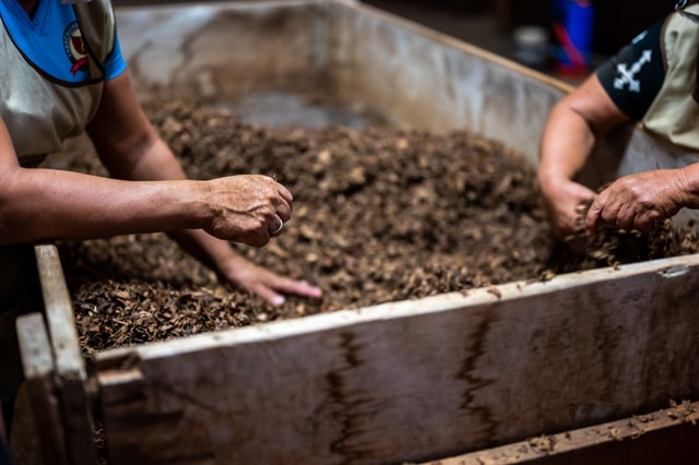 Best Compost for Your Garden: 9 Top Picks! - BackyardBooster.com